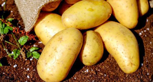 20 years: The Potato Revolution - McDonald's India | McDonald's Blog