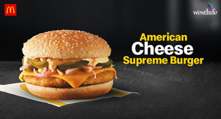 American Cheese Supreme Veg Burger | Cheesy Items for Cheese Lovers ...