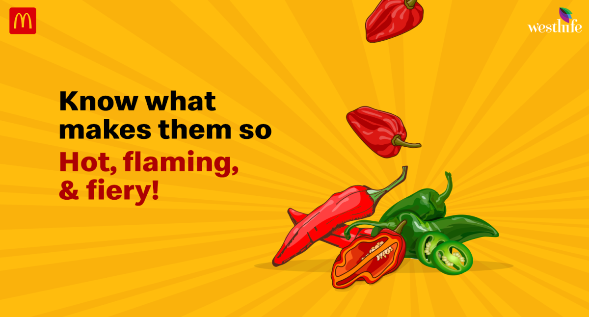 Types of Spices | Different Types Of Spices - McDonald's Blog