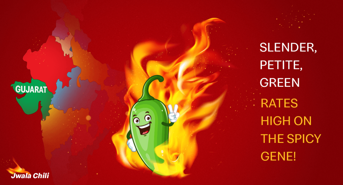 The ‘Chronicles of Indian Chilies’ continue: Find this one in your ...